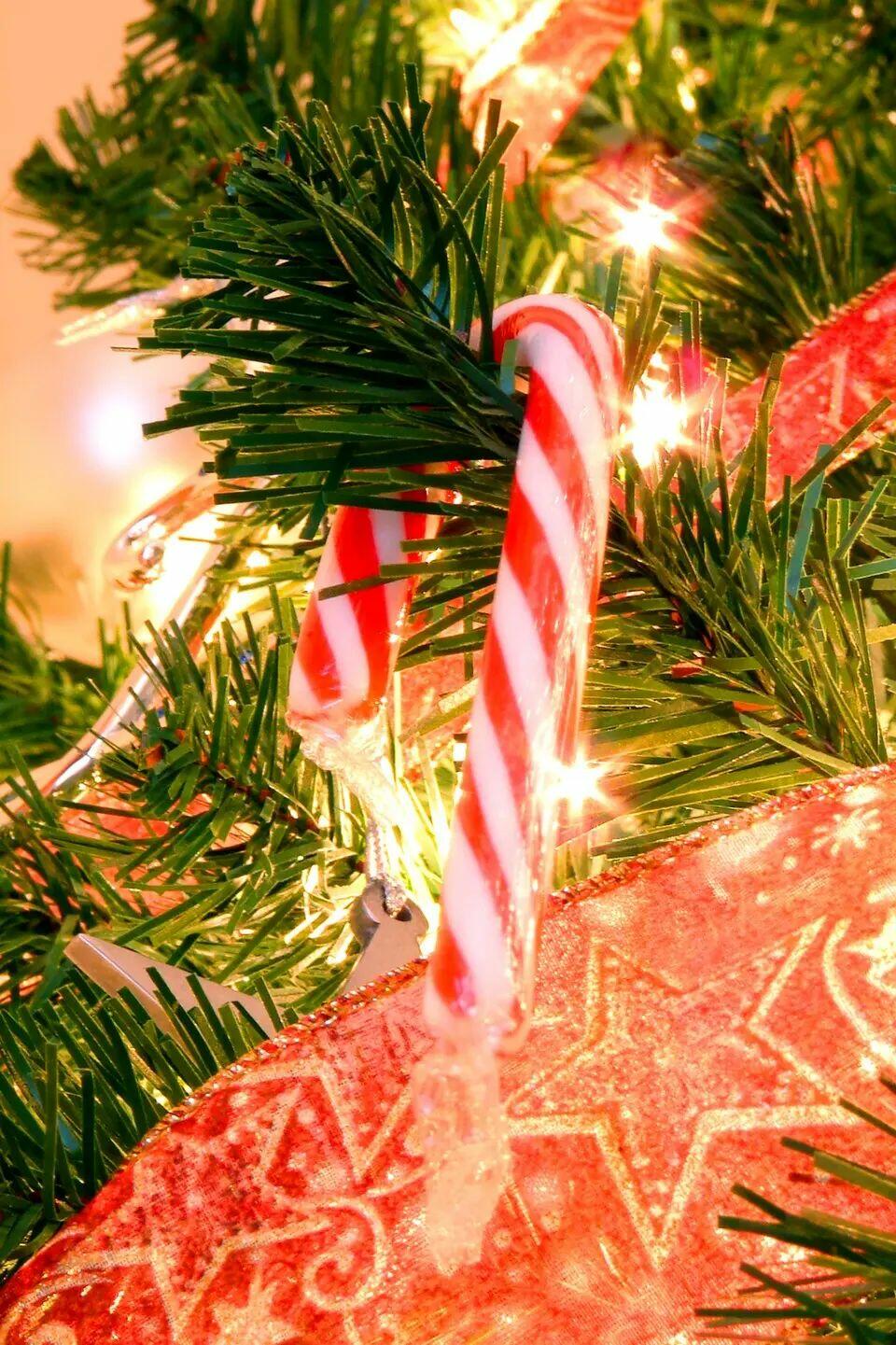 The Evolution Of The Candy Cane :: GrabienNews